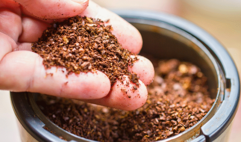 Coffee Grounds Septic Tank